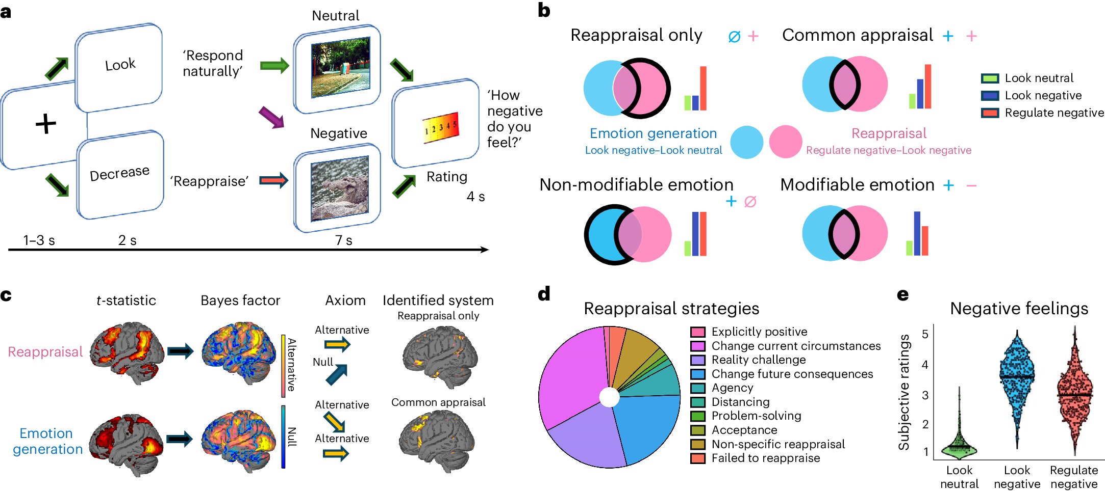 New Study Reveals How the Human Brain Regulates Emotions, Unveiling ...