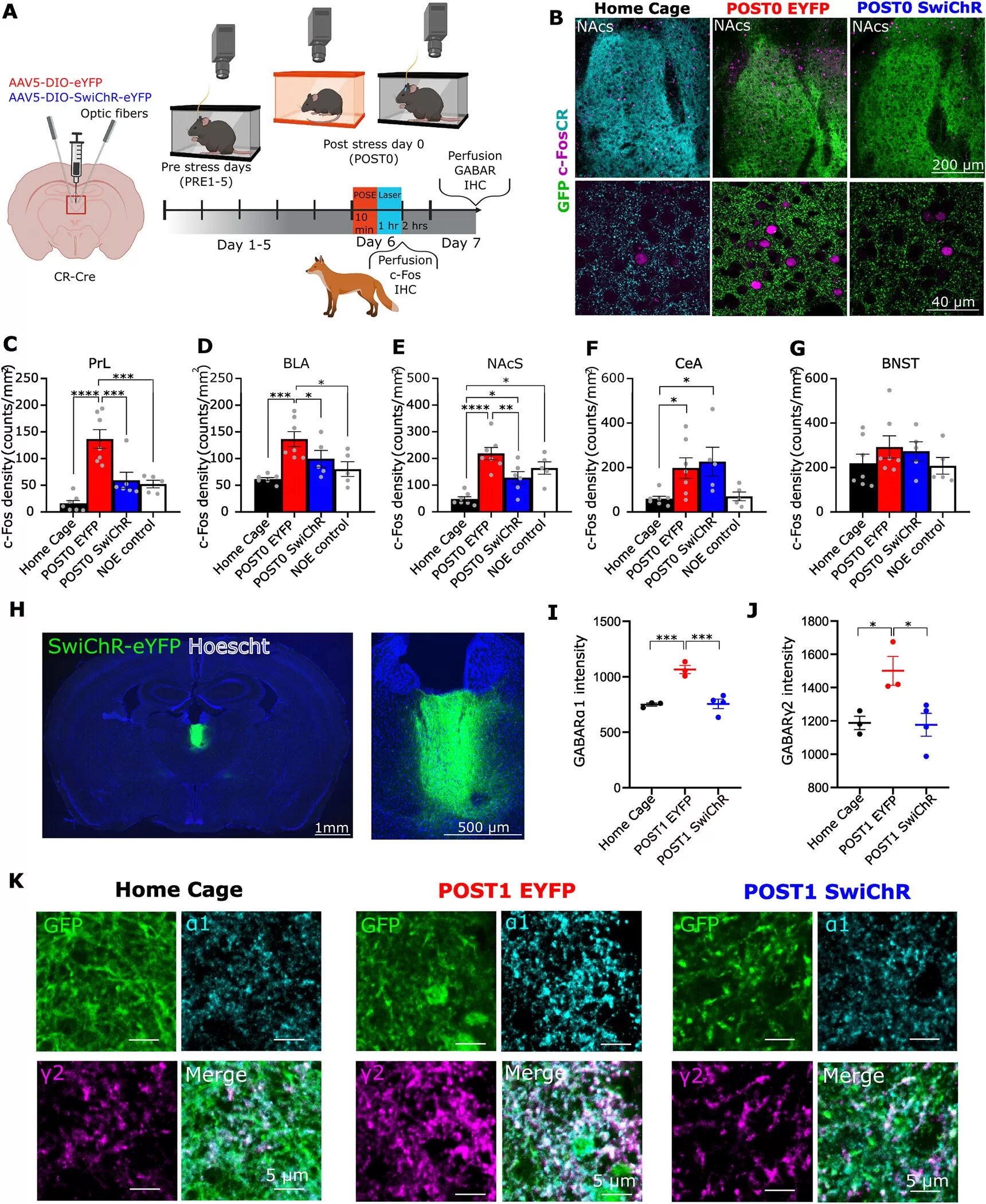 Novel Neuronal Mechanism for Stress-Induced Behavior Changes Identified ...