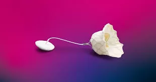 Abbott's Tendyne™ Mitral Valve Replacement System Receives FDA Approval ...